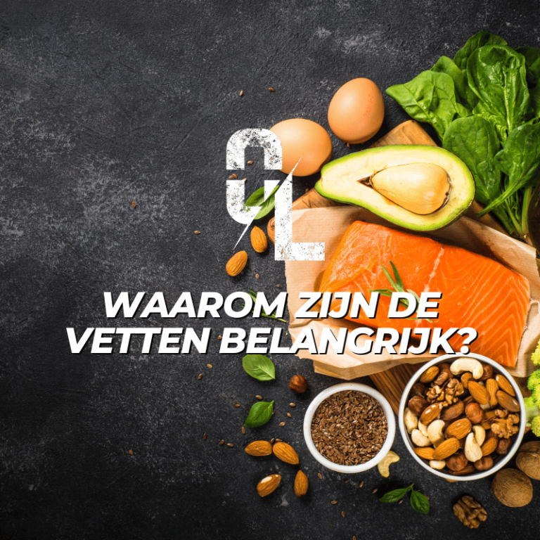 Waarom zijn vetten belangrijk? - Optimaal Leefstijl